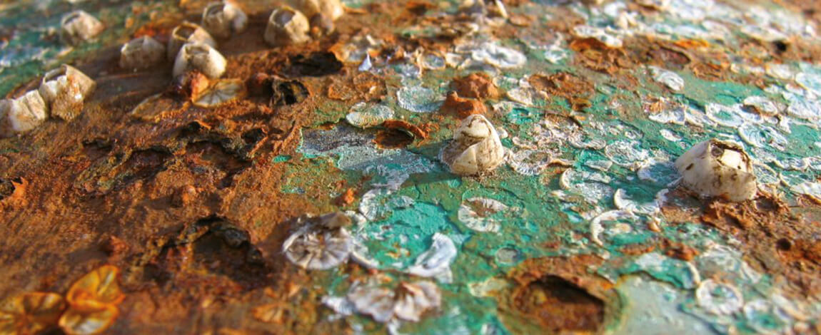 Electrochemical characterisation of a corrosion system by Impedance ...