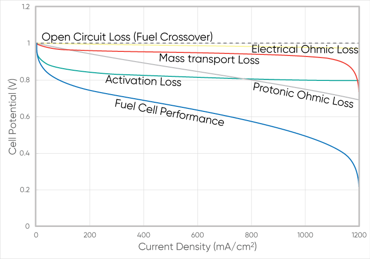 What are PEM Fuel Cells and Electrolyzers? - BioLogic Learning Center