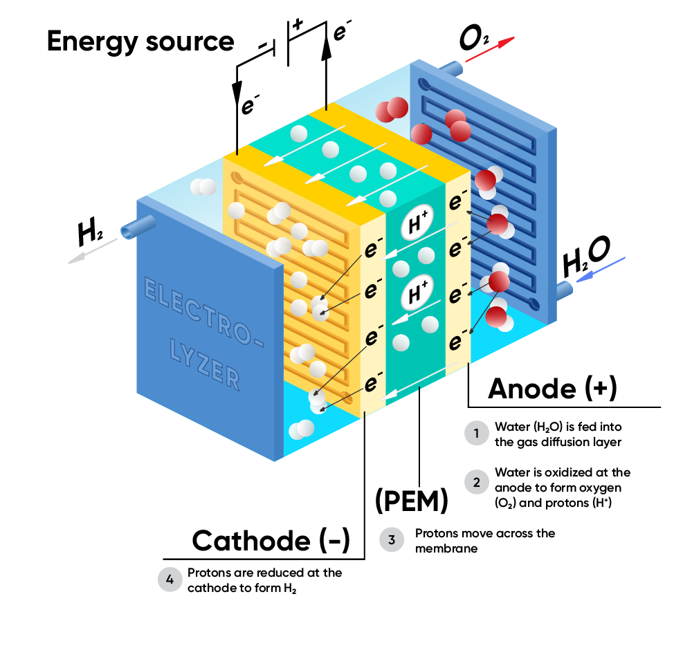 What are PEM Fuel Cells and Electrolyzers? - BioLogic Learning Center
